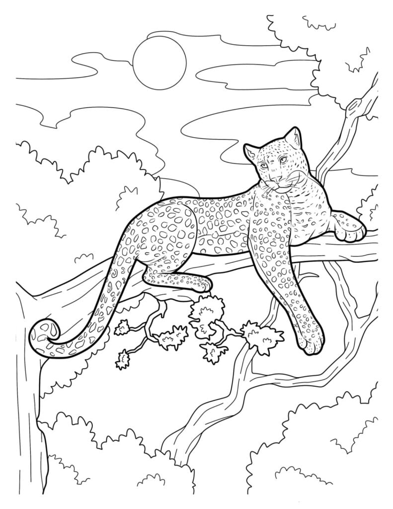 Cheetah Coloring Pages For Kids - Free PDF Printables