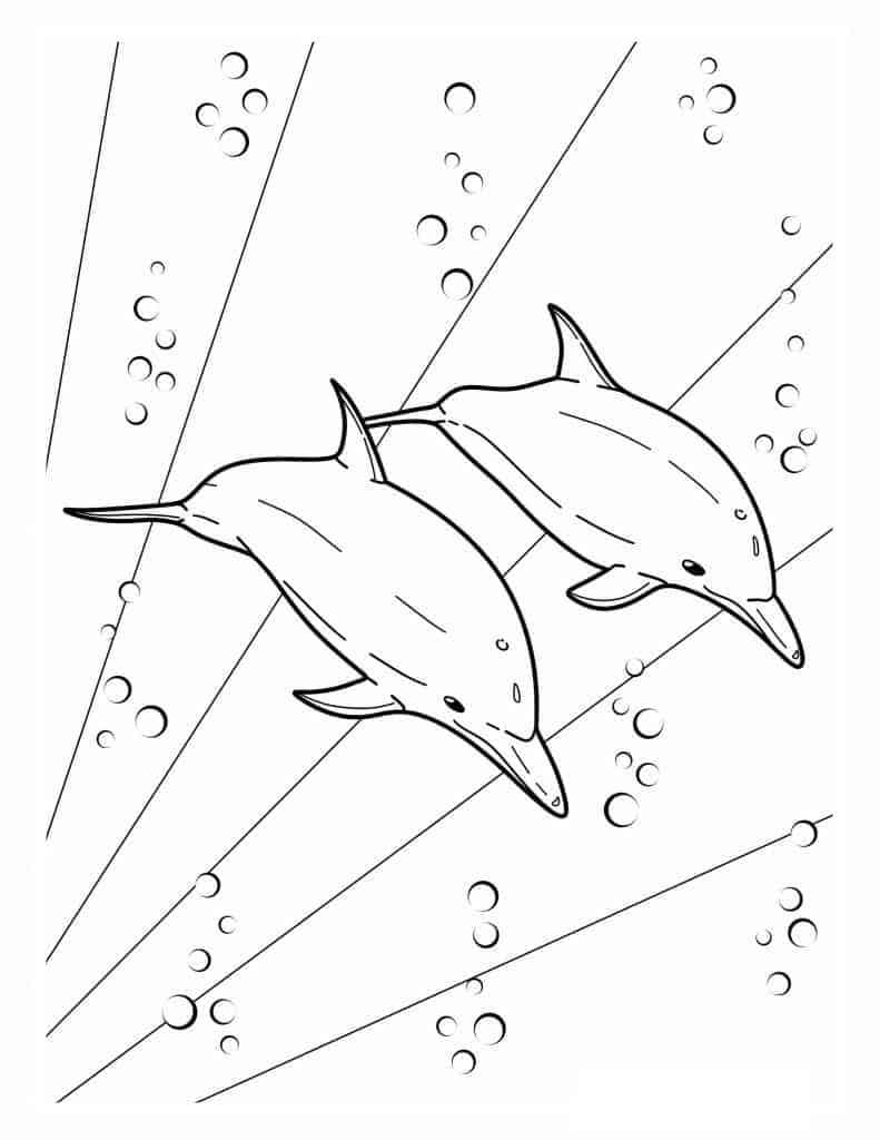 Dolphin Tale Printable Coloring Pages