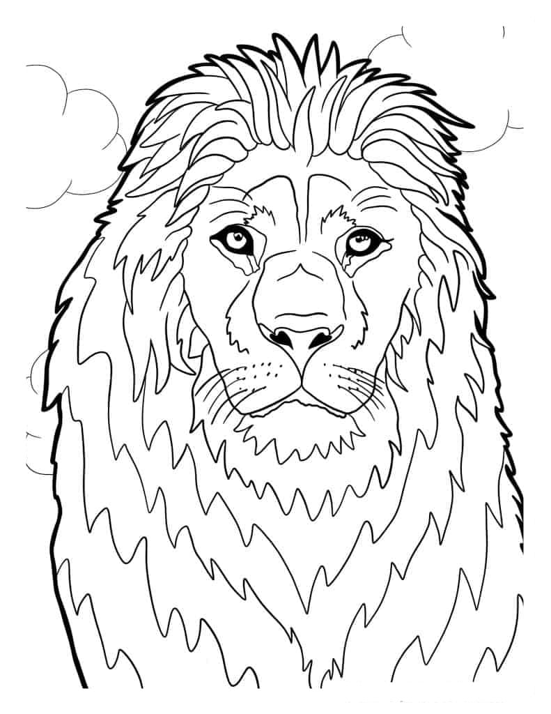 Lion Coloring Pages For Kids - SSColoring.com