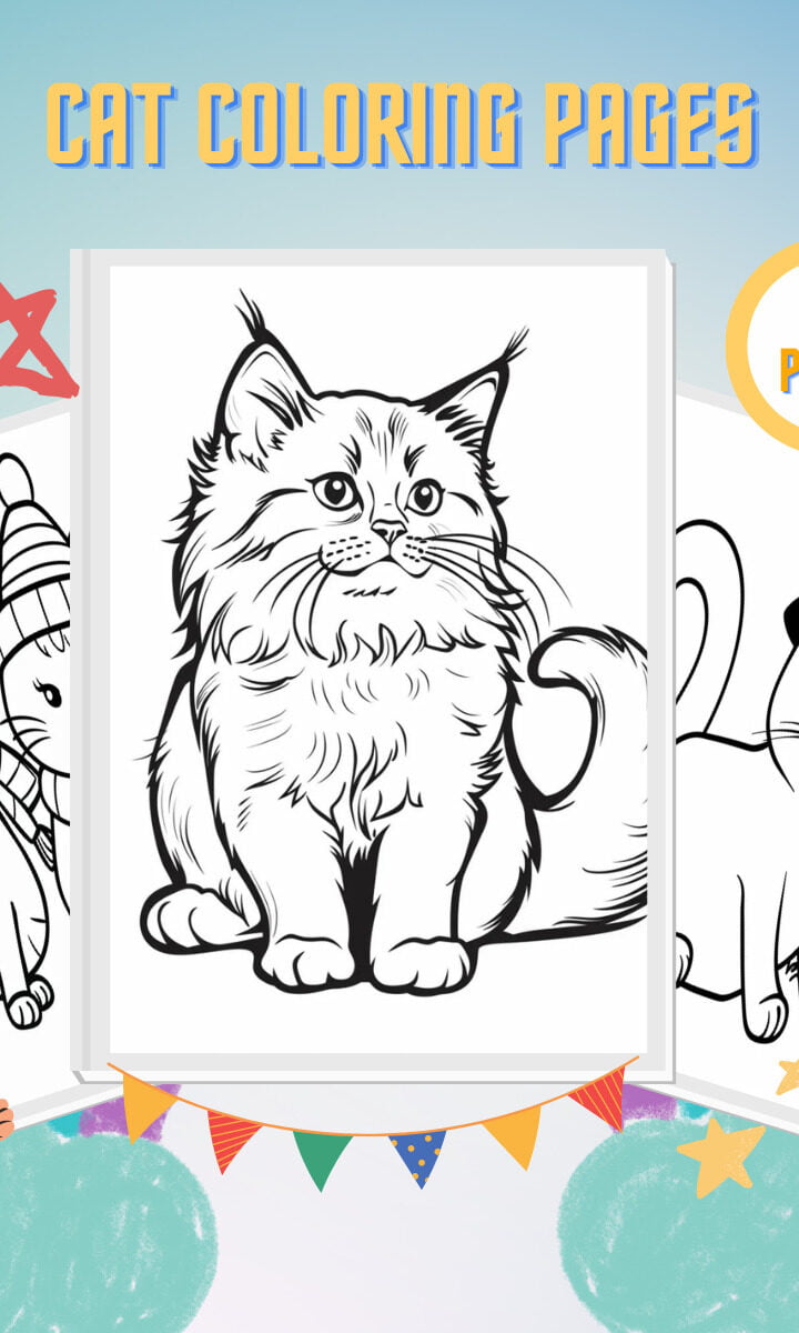 Coloriage Chat