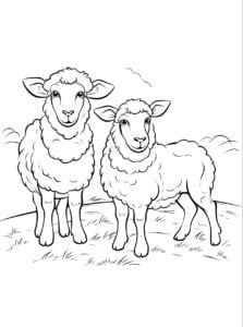 48 coloriage d'animaux de la ferme | Imprimables PDF gratuits