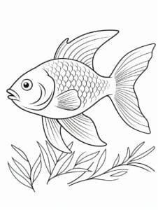 41 Fin-tastic Fish Coloring Pages For Kids - SSColoring