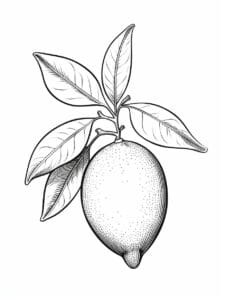 30 Disegni Limoni da colorare per bambini - PDF stampabili gratuiti