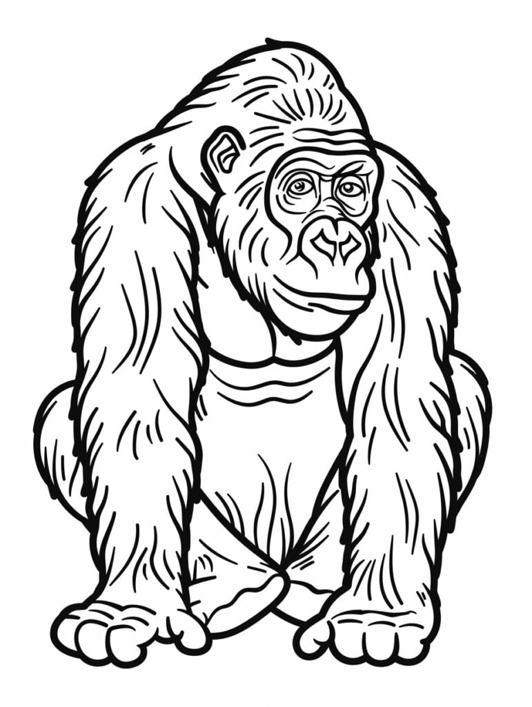 23 Gorilla Coloring Pages | Free Download & Printable PDF
