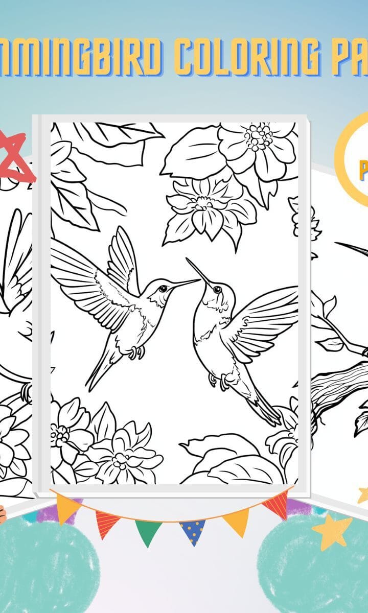 Hummingbird Coloring Pages