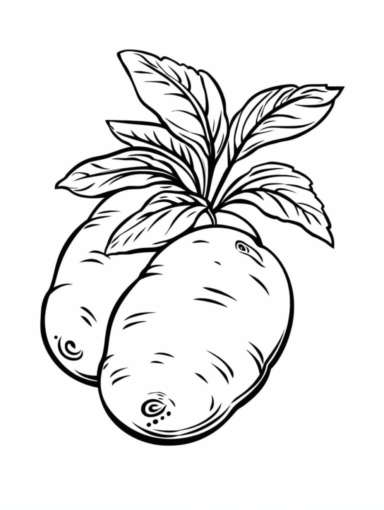 37 Potato Coloring Pages: Where Spuds Sprout Stories